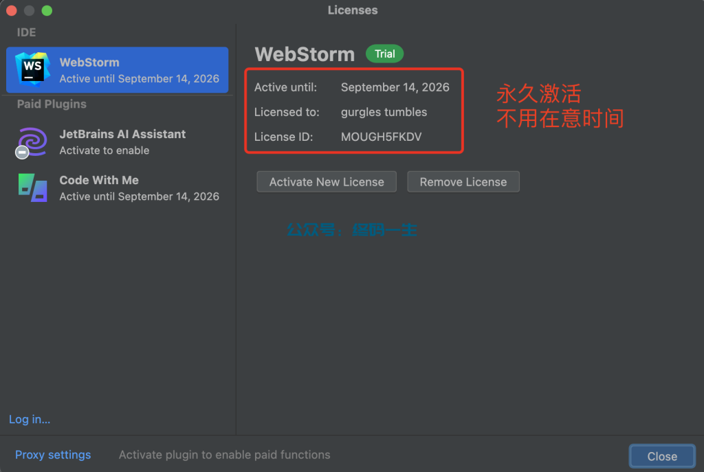 Webstorm 202412 激活码 破解工具 永久激活教程（长期更新 免费激活） Ide激活网 